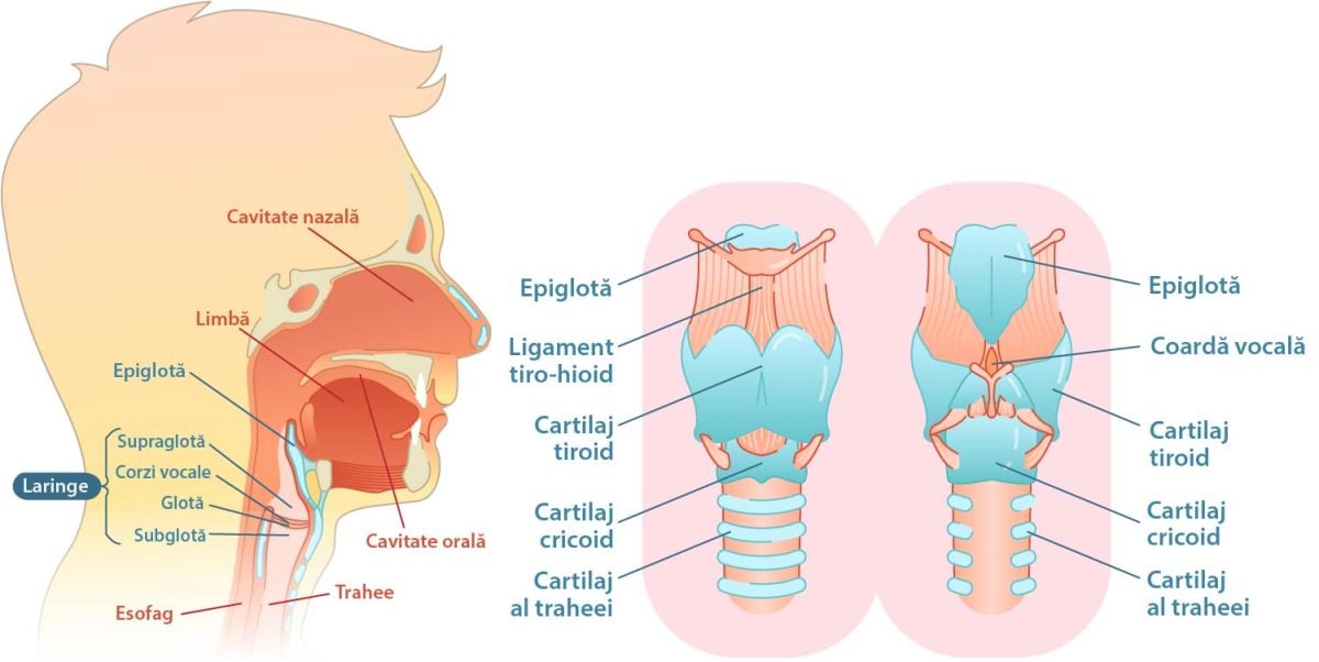 Laringita necesită tratament dacă simptomele persistă