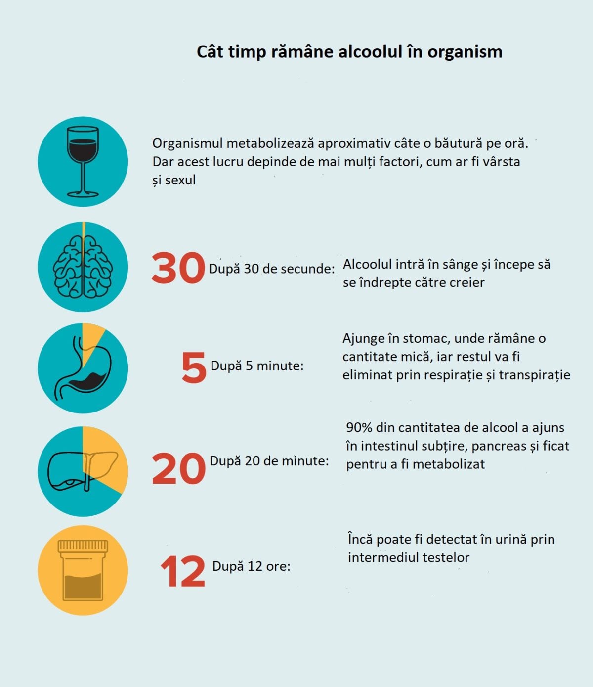 În cât timp iese alcoolul din sânge și soluții să-l elimini mai ușor