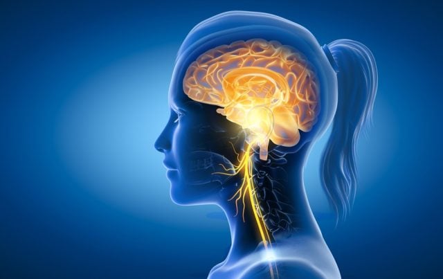 Nervul vag influențează întreg organismul